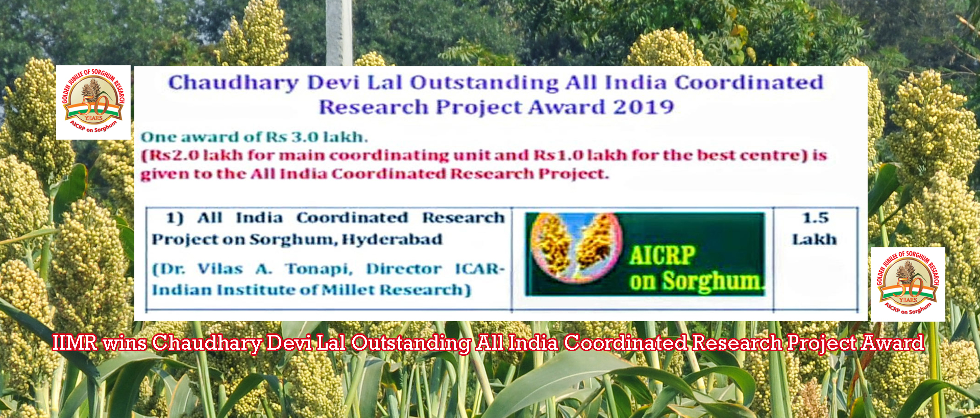 Indian Institute of Millets Research (IIMR)