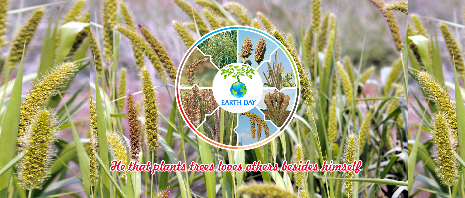 Indian Institute of Millets Research (IIMR)